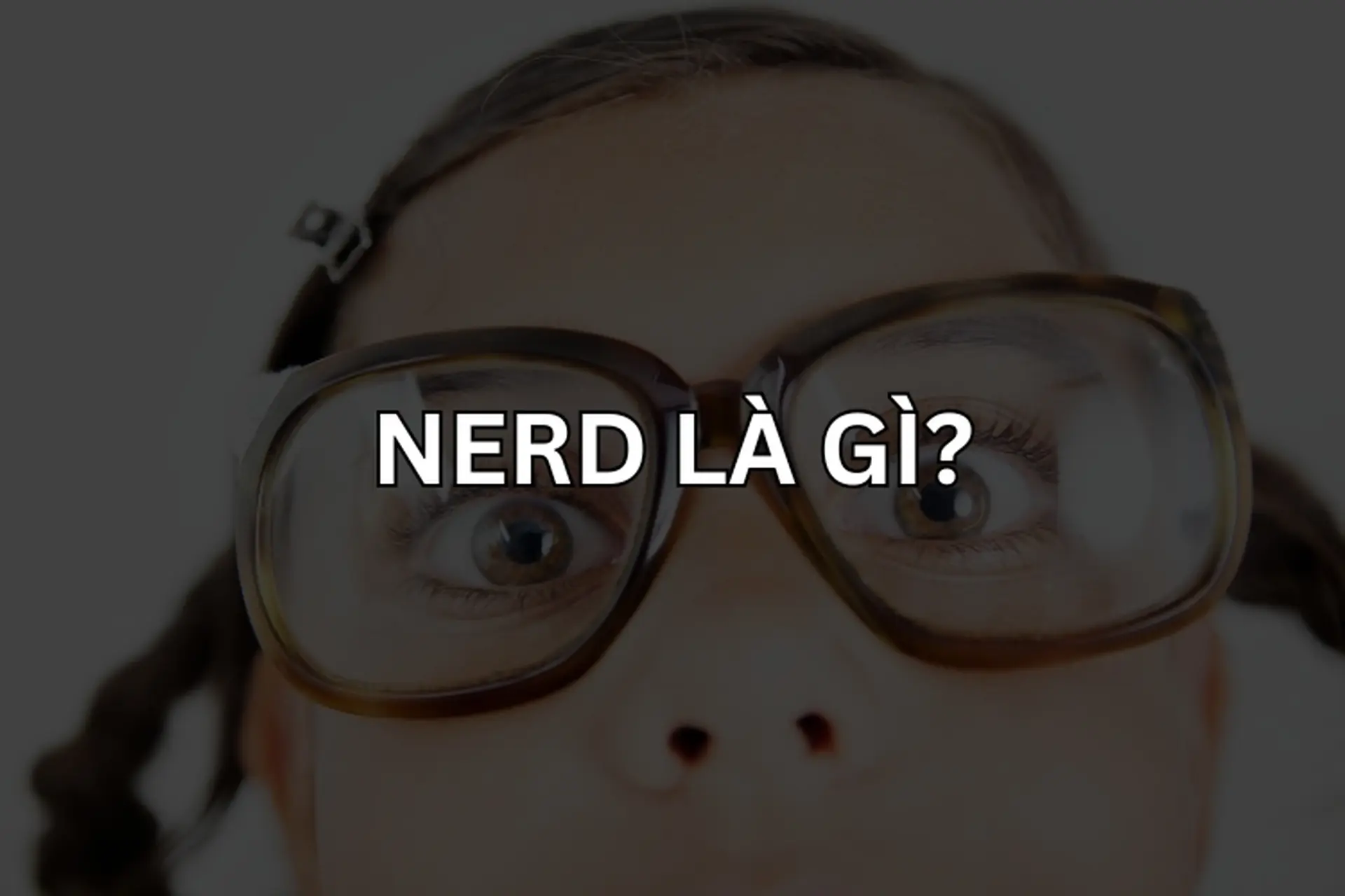 Nerd là gì? Tìm hiểu ý nghĩa, nguồn gốc và cách nhận biết theo ngôn ngữ ...