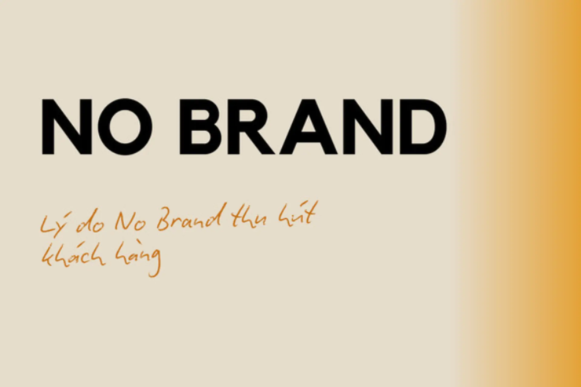 No Brand là gì? Khám phá xu hướng hàng không thương hiệu phổ biến