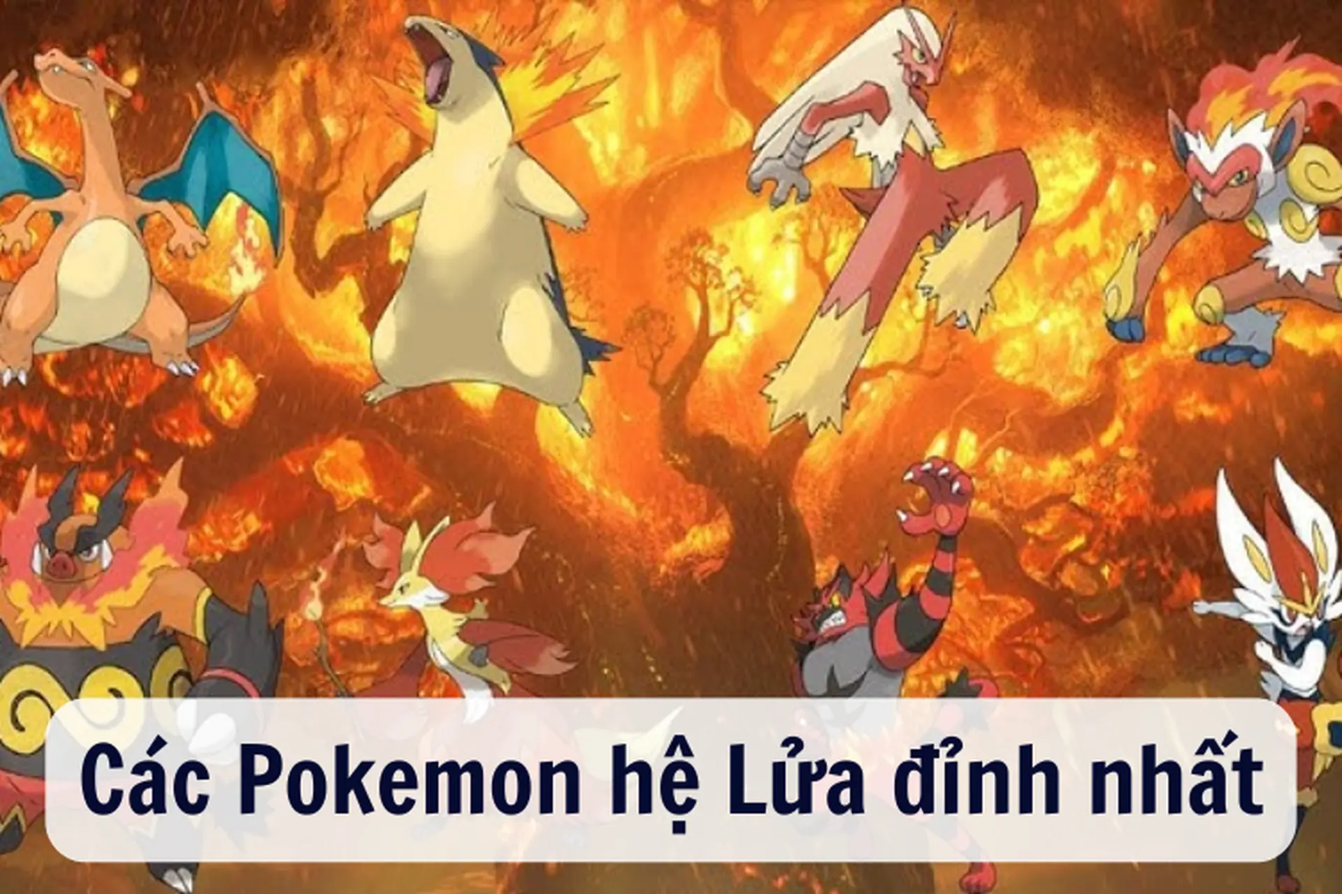 Pokemon hệ Lửa mạnh như thế nào? Các pokemon hệ Lửa đỉnh nhất