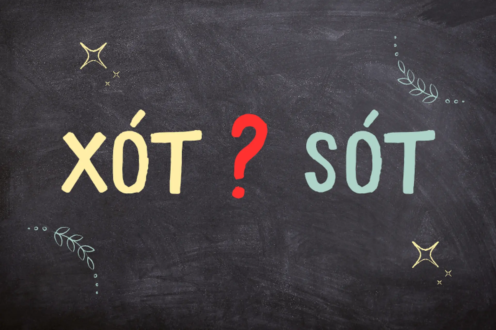 Sót hay xót: Từ nào đúng chính tả và dùng sao cho hợp lý?