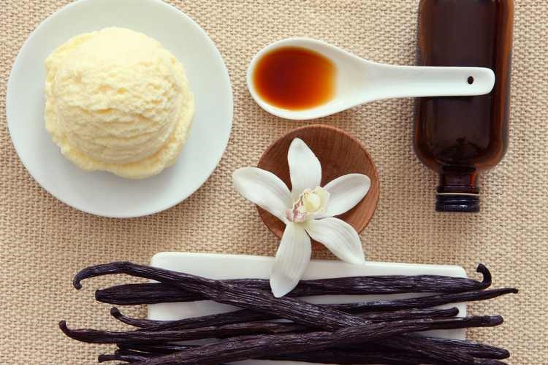 Vanilla L G T m Hi u V H ng Li u Qu Gi Trong m Th c V C ng Nghi p