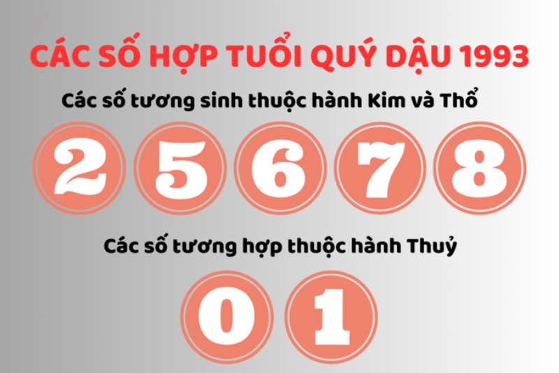 Sinh năm 1993 mệnh gì? 1993 hợp tuổi gì và vận hạn ra sao?