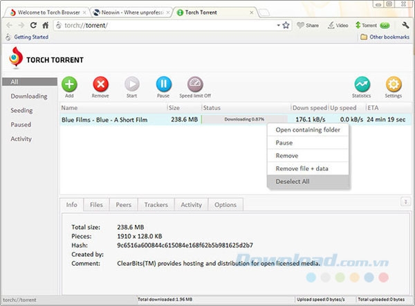 Download trong ngày: Torch Browser
