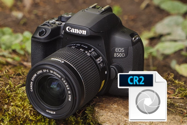 File CR2 là gì? Làm cách nào để sử dụng file CR2?