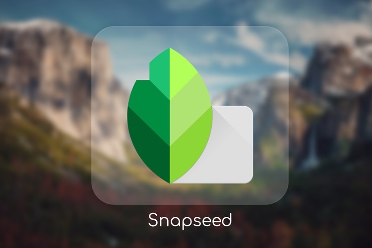 Snapseed là gì? Hướng dẫn sử dụng Snapseed đầy đủ và chi tiết