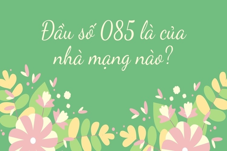 Đầu số 085 là mạng gì? Xem ý nghĩa và cách để sở hữu đầu số 085