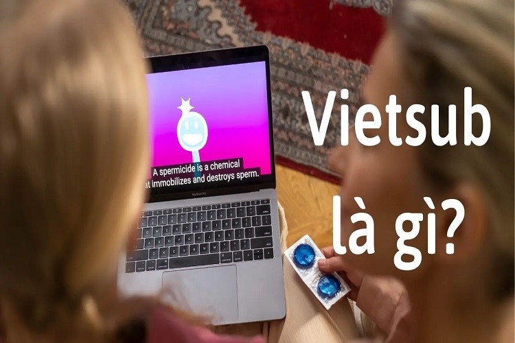Vietsub là gì? Lồng tiếng, thuyết minh, Vietsub khác thế nào?