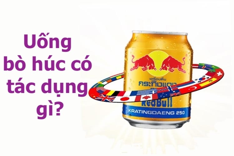 Uống bò húc có tác dụng gì? 4 lợi ích và 5 tác hại khi uống
