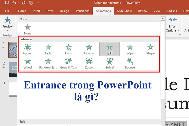 Entrance trong Powerpoint là gì? Cách tạo hiệu ứng Entrance