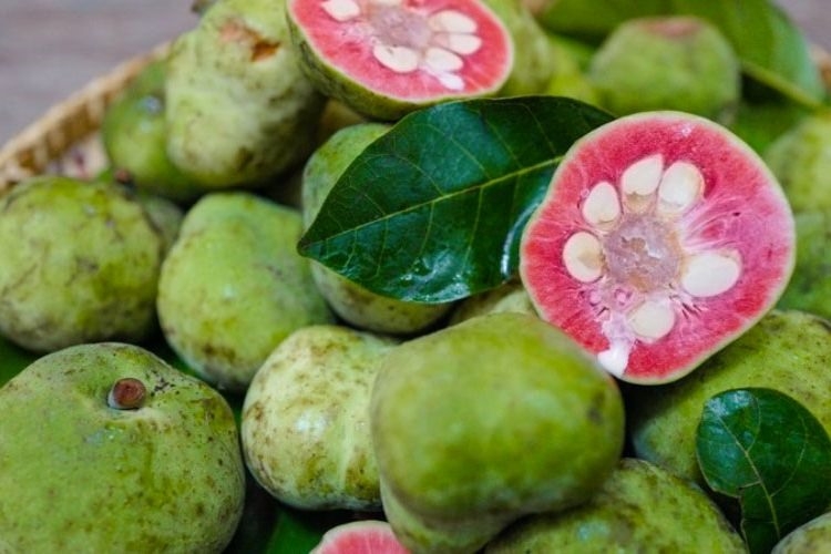 Quả chay là gì? Công dụng và cách ăn quả chay thế nào?