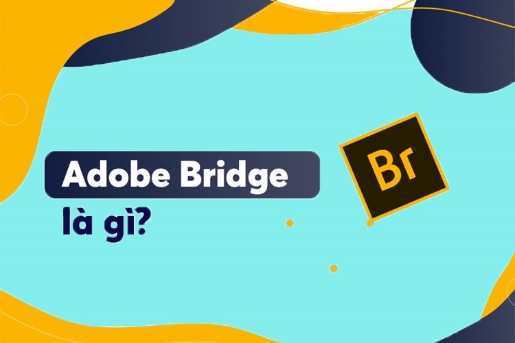 Adobe Bridge là gì? Những tính năng nổi bật của Adobe Bridge