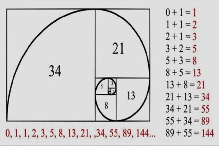 Fibonacci là gì? Ứng dụng thú vị của Fibonacci đầu tư chứng khoán