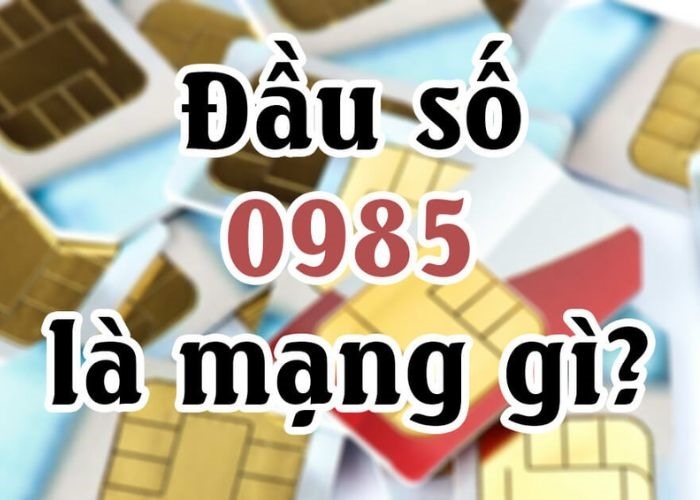 0985 là mạng gì? Những kiến thức cần biết về SIM đầu số 0985