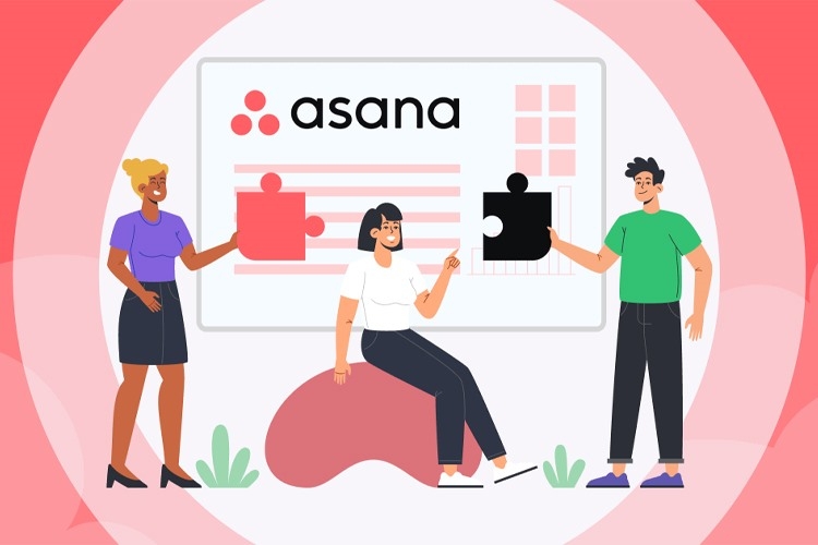 Asana là gì? Bí quyết quản lý công việc hiệu quả của doanh nghiệp