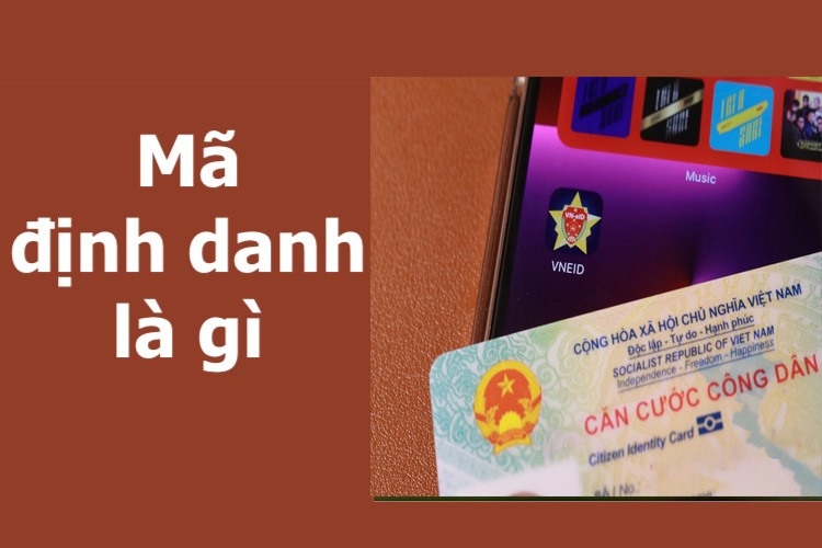 Mã định danh là gì? Dùng thay mã số thuế được không?