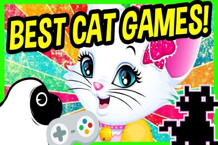 Tải game nuôi mèo đơn giản cùng top 10 trò chơi dễ thương nhất