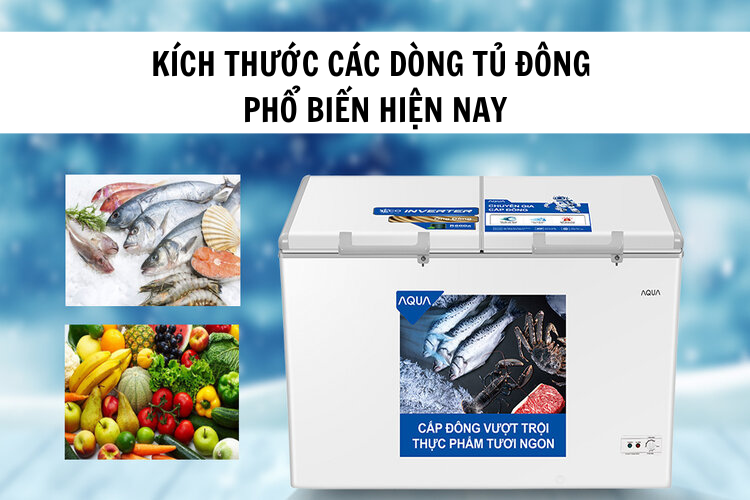 Kích thước các dòng tủ đông bán chạy nhất hiện nay