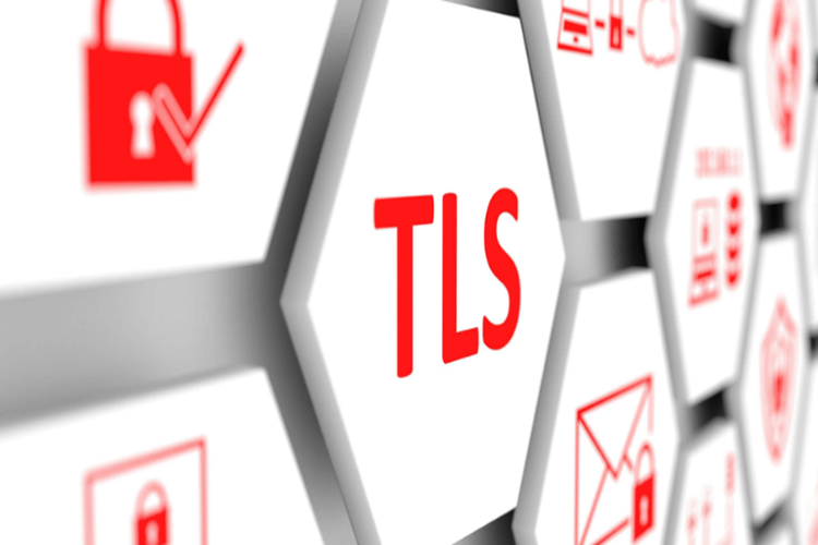 TLS là gì? Chức năng và nguyên lý hoạt động chuẩn xác của TLS