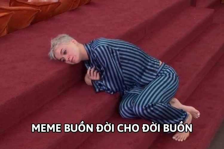 Tổng hợp 80+ meme buồn được sử dụng phổ biến trên mạng xã hội