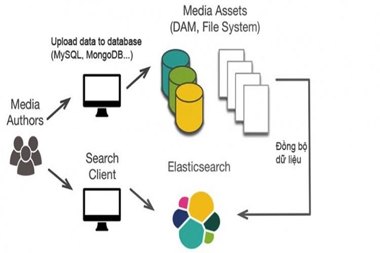 Elastic search là gì? Tính ứng dụng cần biết về Elasticsearch