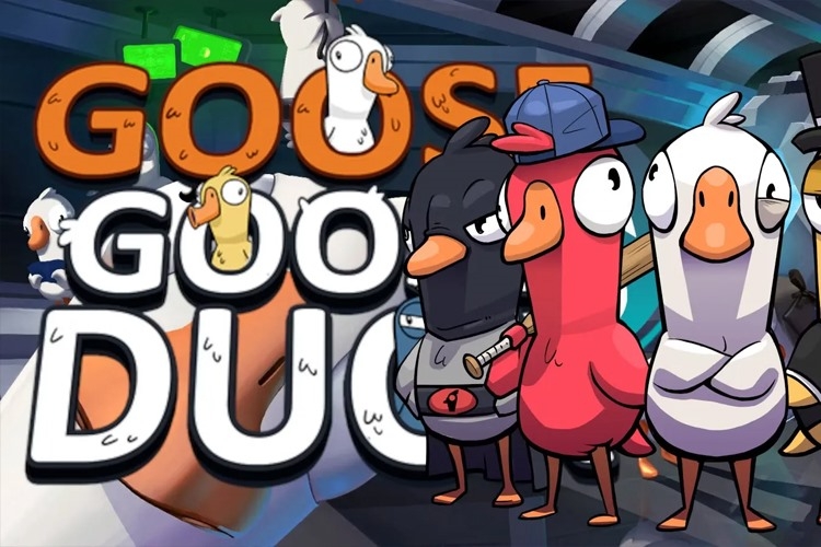 Hướng dẫn tải Goose Goose Duck trên điện thoại và máy tính