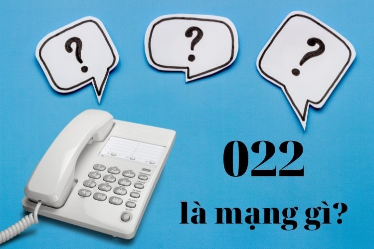 022 là mạng gì? Khám phá ý nghĩa các con số trong đầu số 022