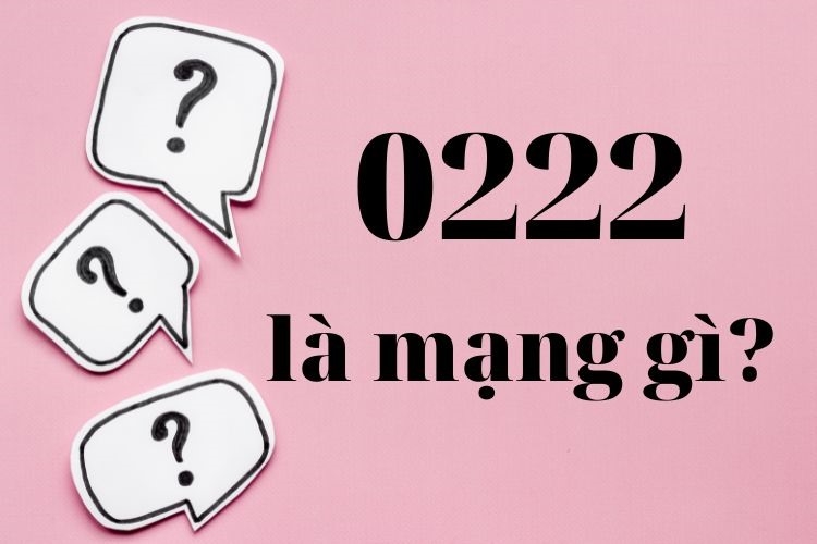 0222 là mạng gì? Đầu số 0222 là mã vùng ở đâu? Có lừa đảo không?