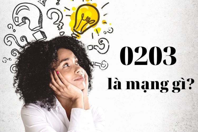 0203 là mạng gì? Đầu số 0203 có phải của Quảng Ninh không?