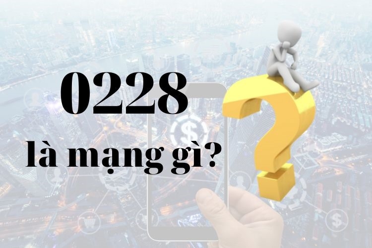 0228 là mạng gì? Khám phá ý nghĩa các con số trong đầu số 0228