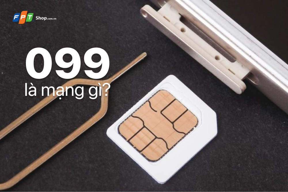 099 là mạng gì? Gợi ý những cách chọn SIM đầu số 099