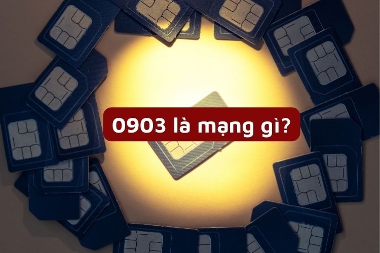 0903 là mạng gì? “Mổ xẻ” bí ẩn phía sau đầu số 0903