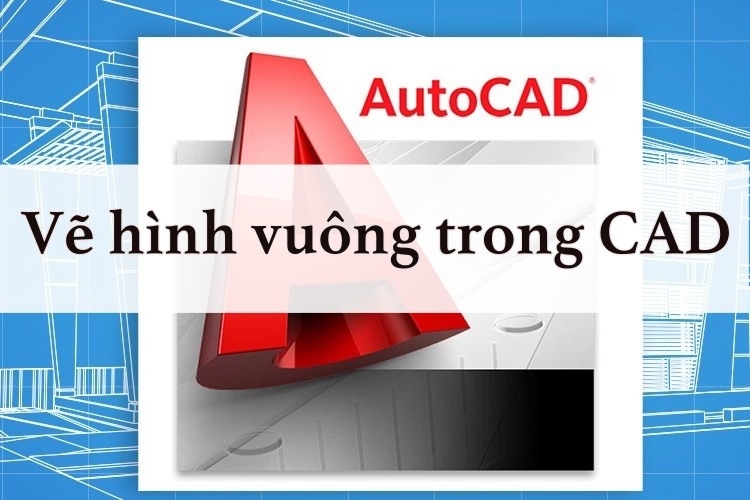Cách vẽ hình vuông trong CAD bằng lệnh Polygon chuẩn xác nhất