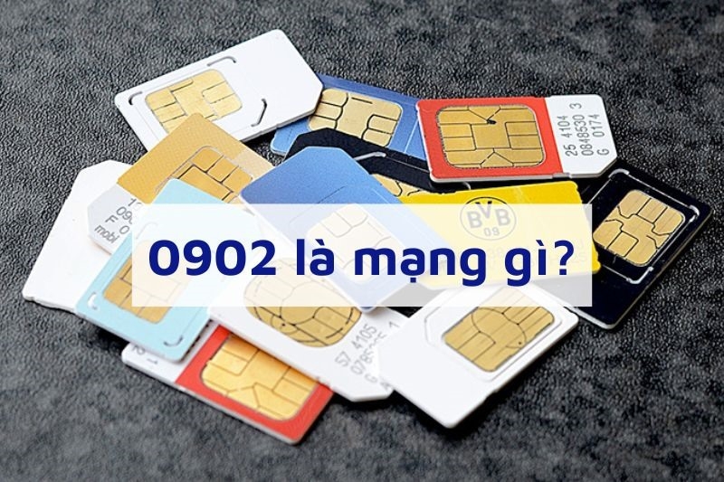 0902 là mạng gì? Khám phá ý nghĩa của đầu số 0902