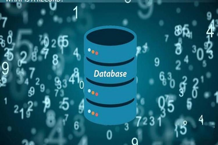 Database là gì? Ứng dụng các kiểu Database thông dụng và hiệu quả