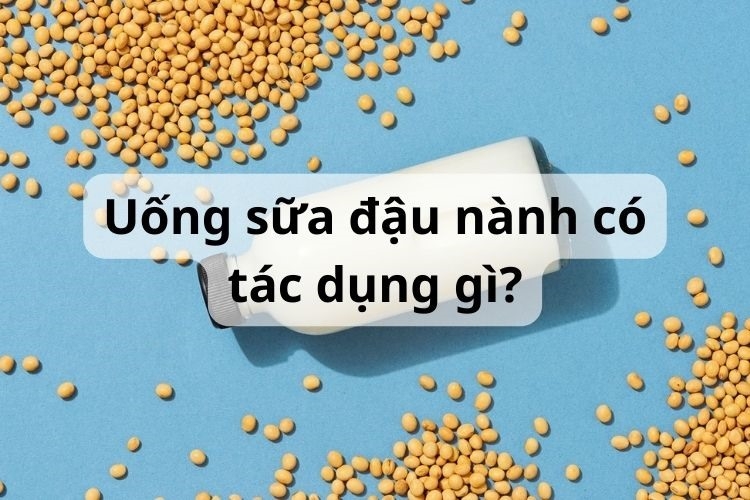 Uống sữa đậu nành có tác dụng gì? Cần lưu ý điều gì khi uống?