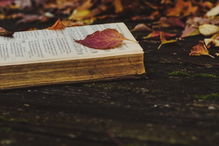 Những câu nói hay về sách, giúp truyền thêm cảm hứng cho độc giả