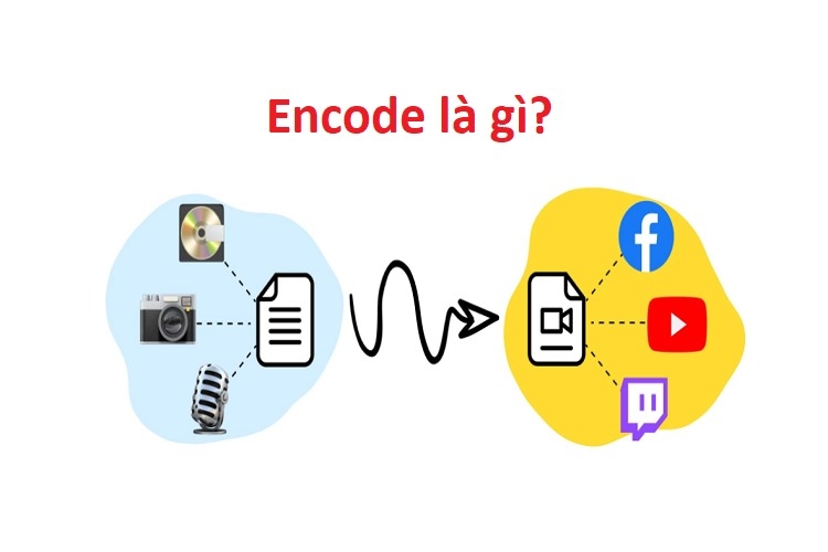 Encode là gì? Tìm hiểu khái niệm và phân loại các Encode hiện nay