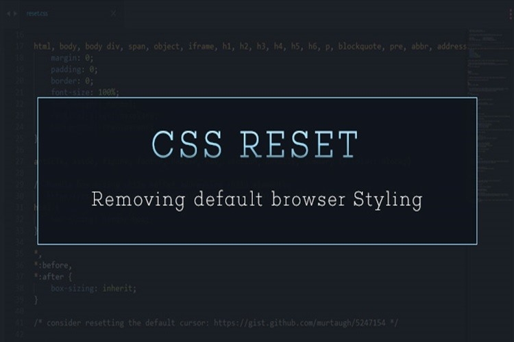 Cách dùng Reset CSS hiệu quả để xác định các đối tượng HTML