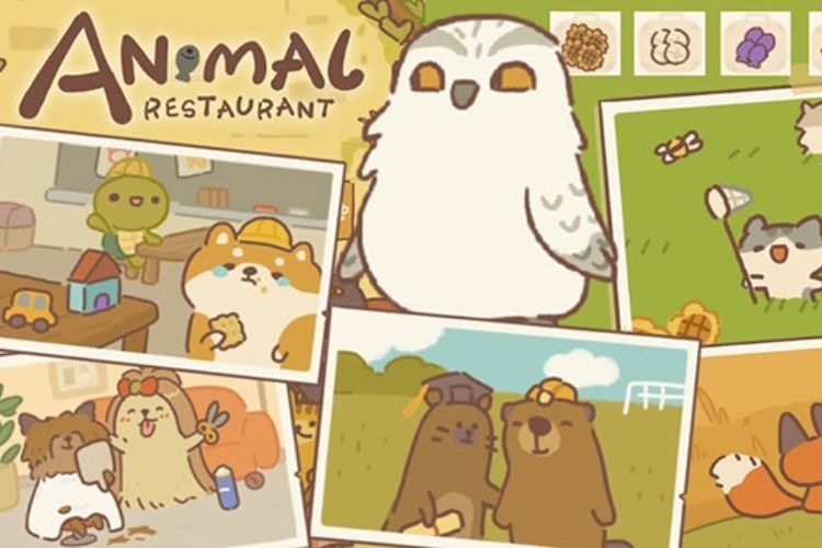 Code Animal Restaurant mới nhất 2025 - Hướng dẫn nhập code nhận thưởng