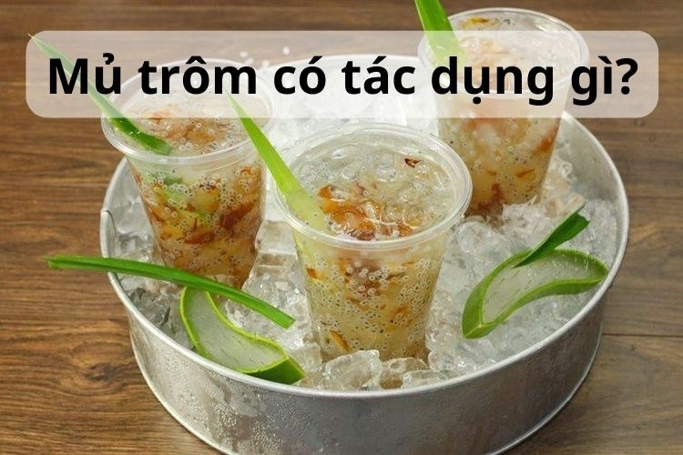 Mủ trôm có tác dụng gì? Những lưu ý quan trọng khi ăn mủ trôm