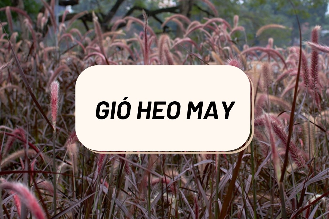 Gió heo may là gì? Sưu tầm những câu nói hay nhất về gió heo may