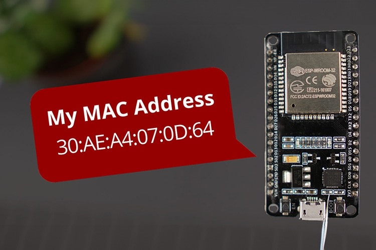 Địa chỉ MAC là gì? Cấu trúc, cách hoạt động và kiểm tra địa chỉ MAC