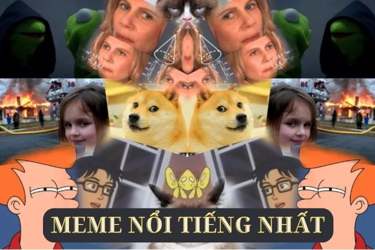 Các meme nổi tiếng nhất: Giải trí với những tấm ảnh siêu hài hước