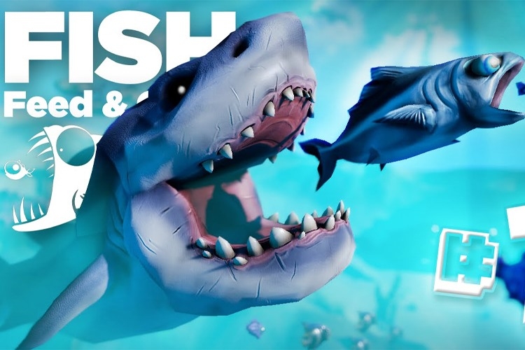 Fish Feed and Grow: Trải nghiệm cuộc sống kỳ thú của các loài cá