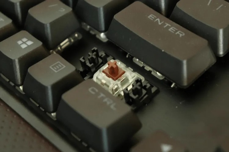 Brown Switch là gì? Dùng bàn phím cơ nên chọn Brown Switch?