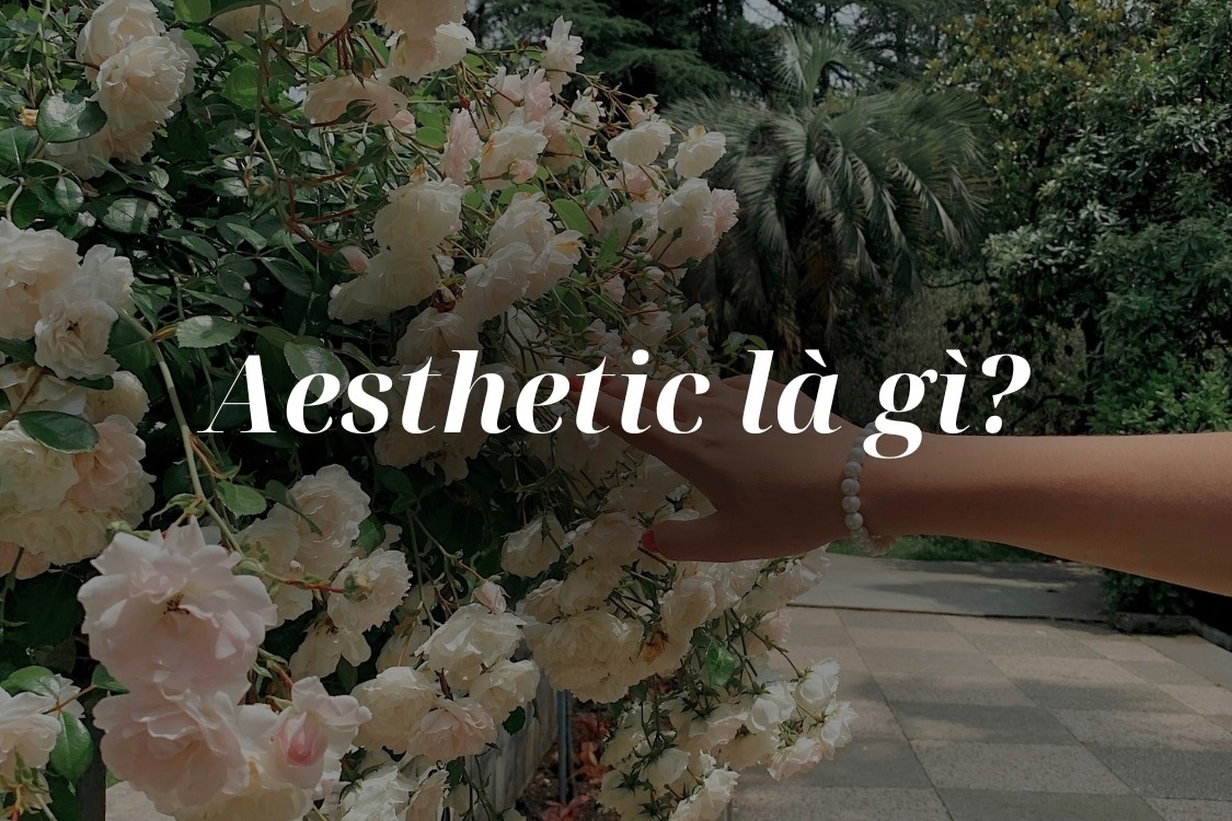 Khám phá Aesthetic là gì? Phong cách thời trang Aesthetic là gì?