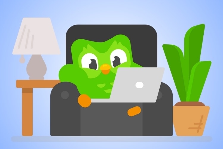 Cười nghiêng ngả với bộ ảnh Duolingo meme cực hài hước