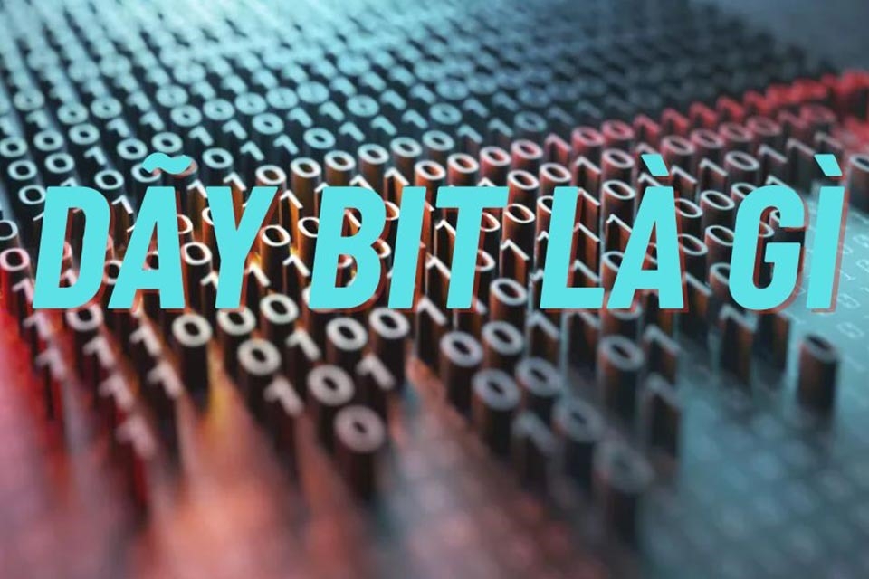Dãy bit là gì? Tầm quan trọng của dãy bit trong lập trình