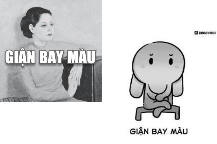 Tổng hợp meme bay màu, meme hài hước cực thú vị, lưu ngay!