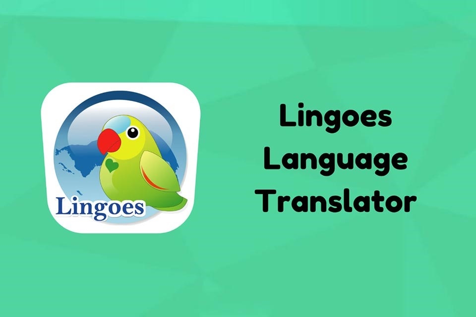 Lingoes là phần mềm gì? Nó có những tính năng hấp dẫn nào không?
